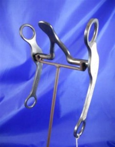 Bit and Spur Company » Maheu Cathedral Bit with Silver Grazer Shanks