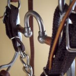 Bit and Spur Company