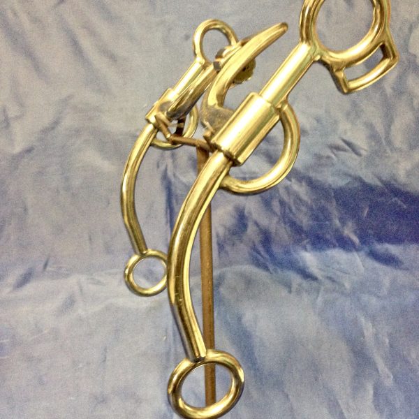 Bit and Spur Company » Jim Edwards Turtle with Cricket